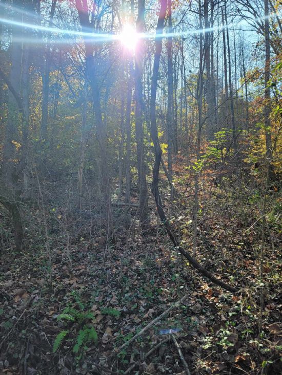 Kentucky Land Company