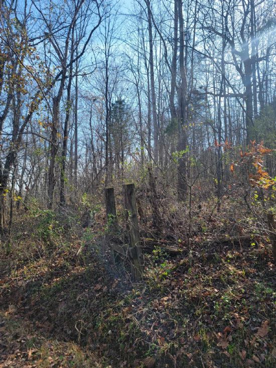 Kentucky Land Company